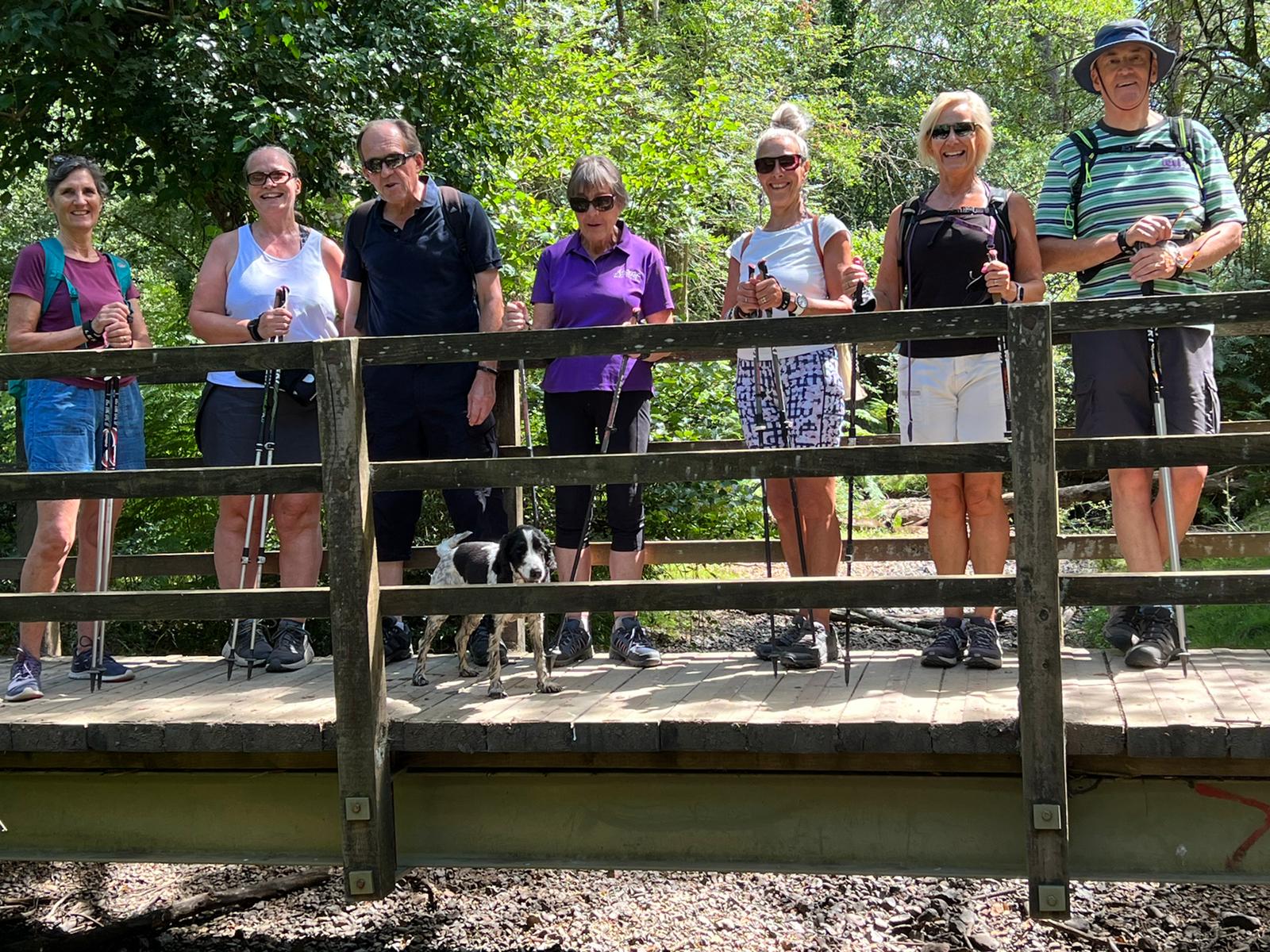 Nordic Walking New Forest