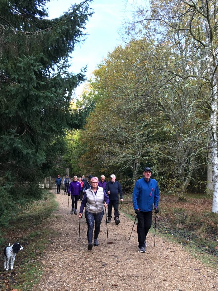 Nordic Walking New Forest